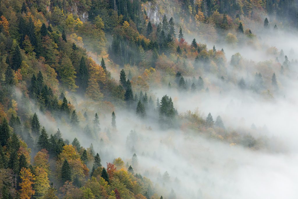 Lapping Mist - Dúlra Photography
