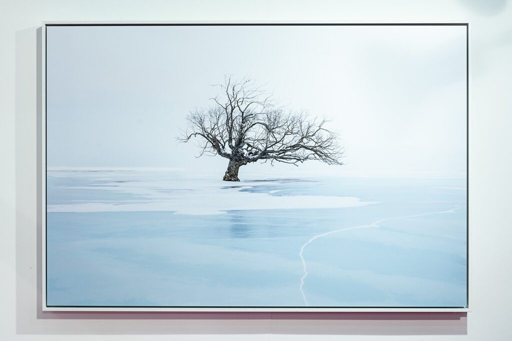 Glass Ceiling - Dúlra Photography